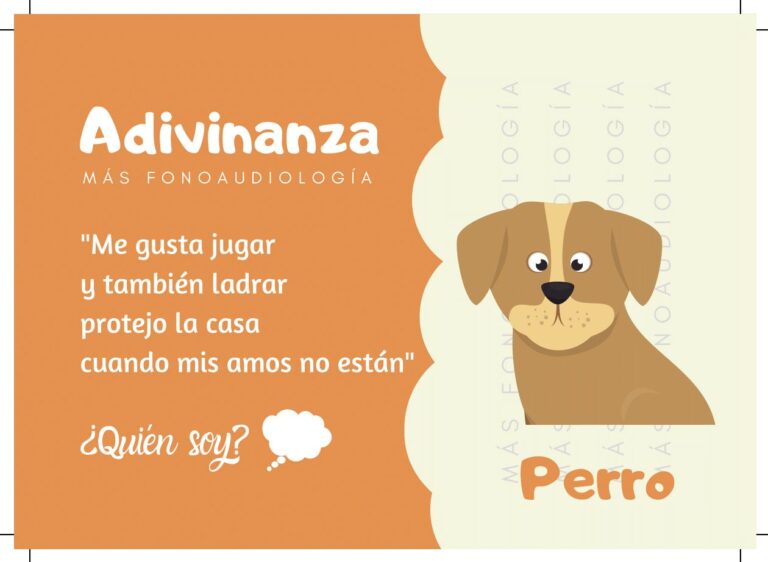 🐻 Adivinanzas de animales – Educaenvivo