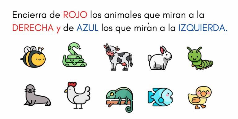 Ejercicios de Lateralidad para Imprimir [y Cuaderno en PDF]